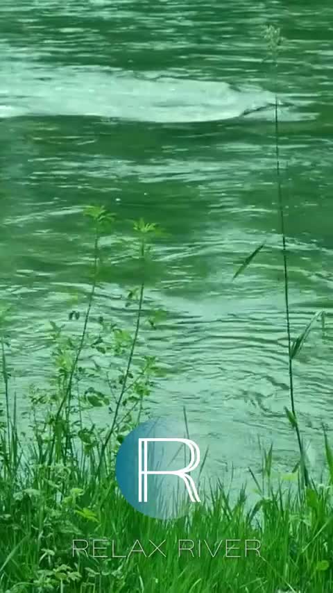 Jazzy relax | Gypsy jazz jamming 🎹🎷 #shorts #jazzrelaxation