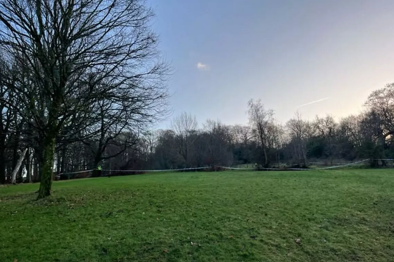 Police probe rape at Queen's Park in Glasgow after sickening Christmas ...