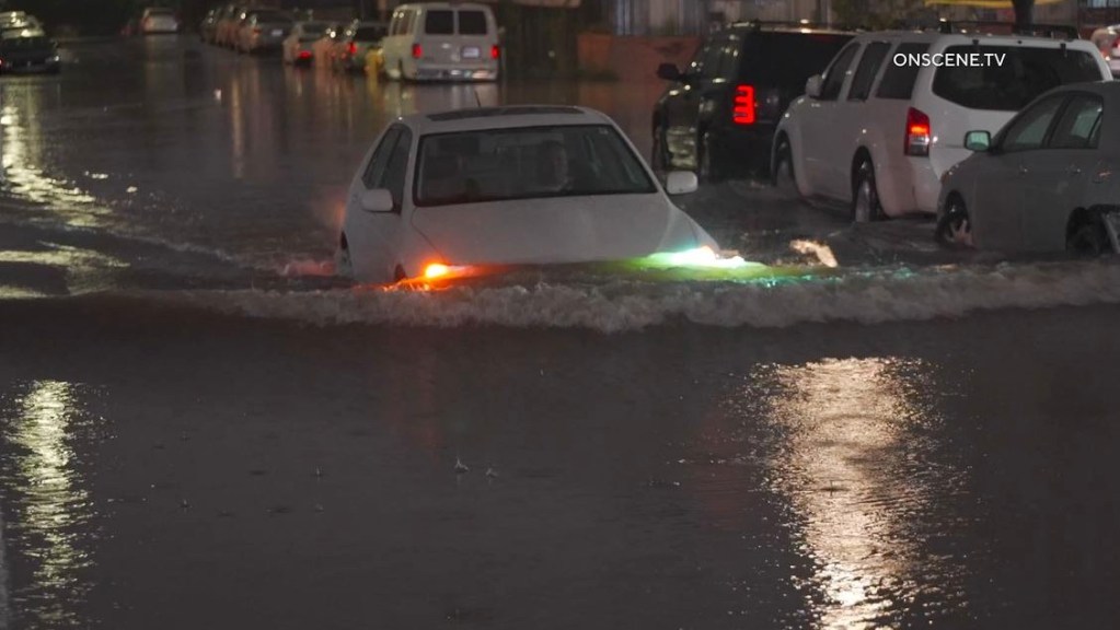 Forecasters anticipate widespread flooding across Southland