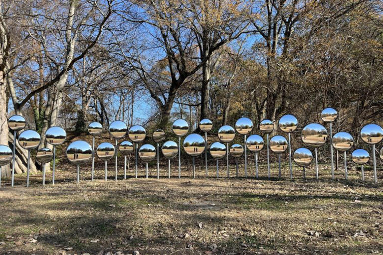 Pausing in Piedmont Park: Artist Gregor Turk on 'Myriad'