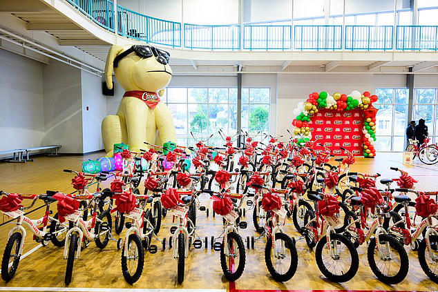 Chiefs coach Andy Reid's wife reveals why family won't be celebrating ...