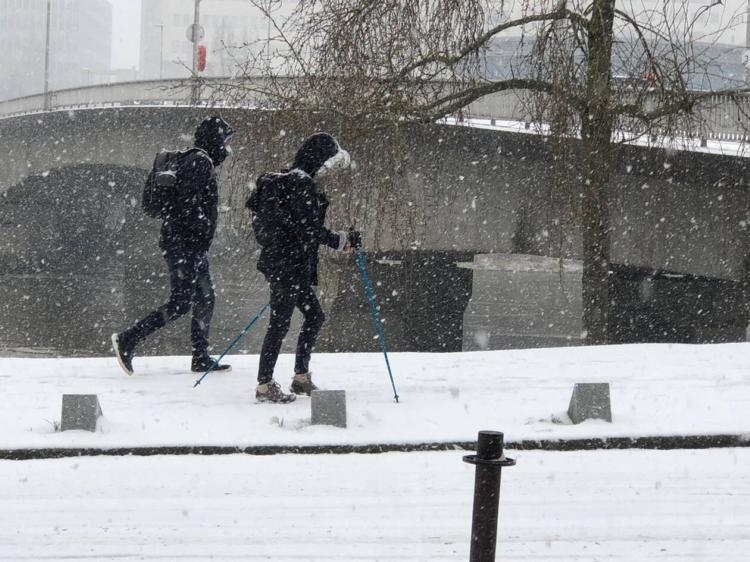 Chutes de neige à Noël : à quoi s’attendre en Loire-Atlantique