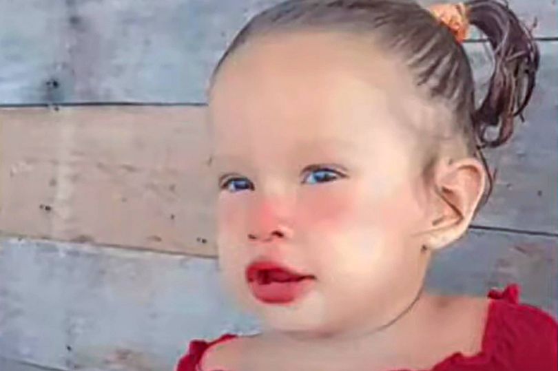 Toddler eaten alive in horror piranha attack after falling into river ...