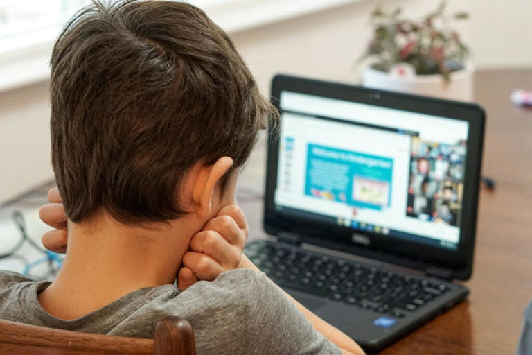 Is the internet truly dangerous for children, or are parents overreacting?