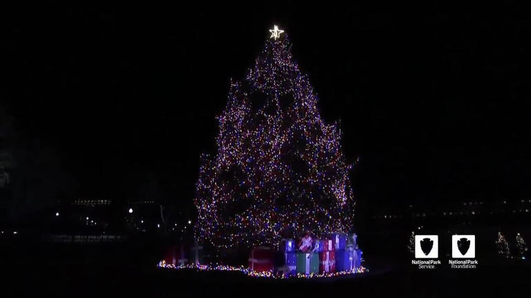 December 24, 1923 - First National Christmas Tree lit