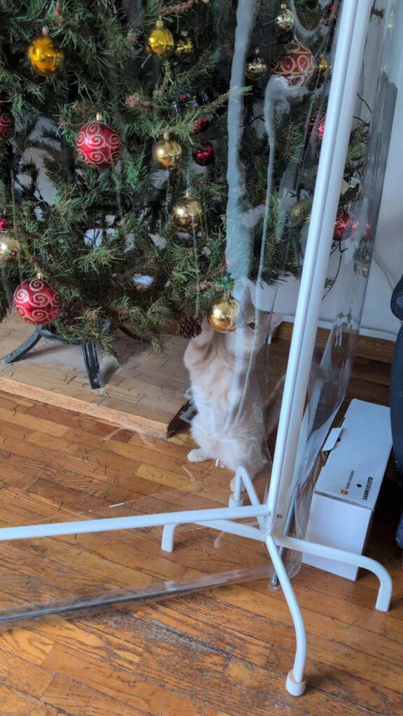 Naughty kitten destroys Christmas tree despite plastic tarp barrier