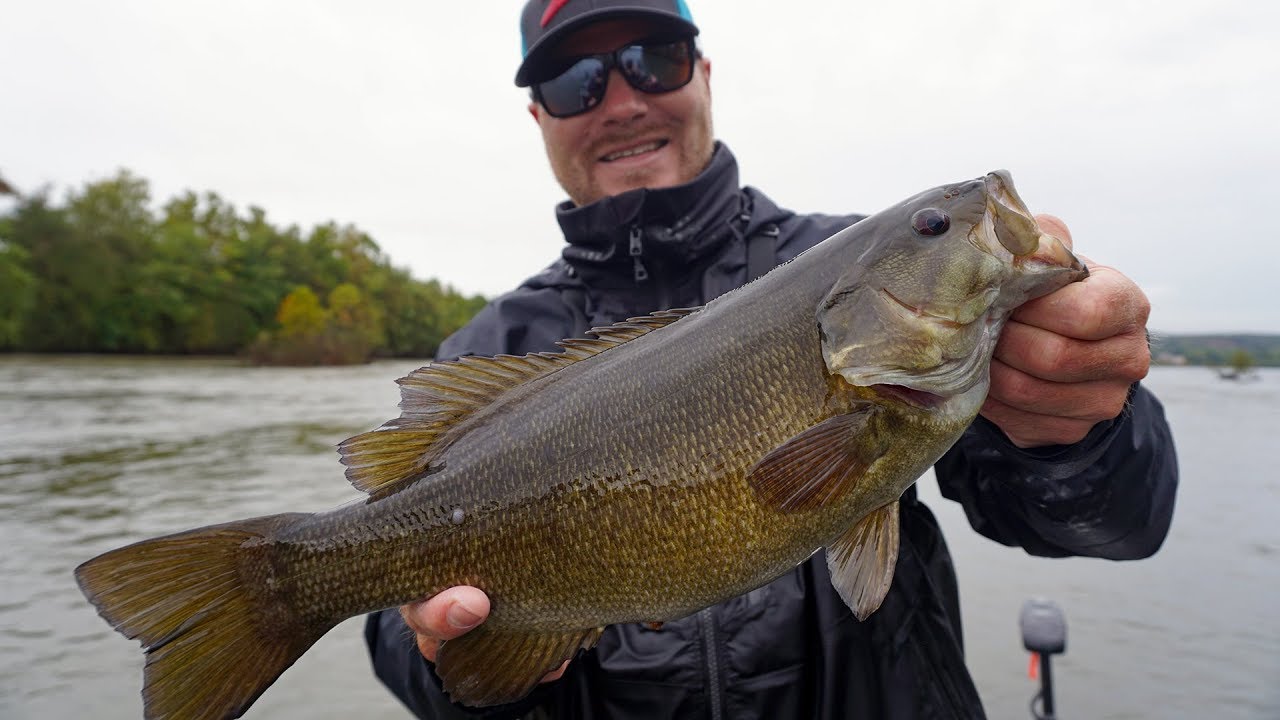 Insane smallmouth action with 40 fish in 2 hours