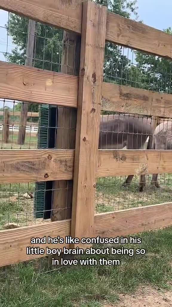 How I unwind: Goats in a hammock and farmyard laughter
