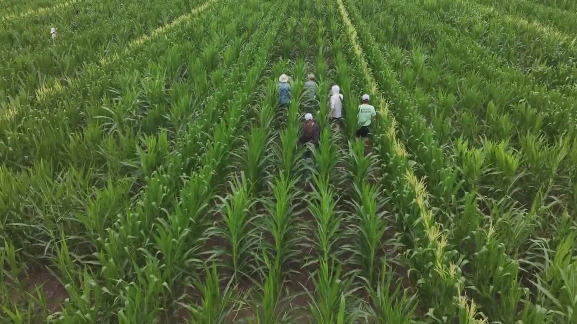 2025 year in review | Capturing how the Quad Cities have grown