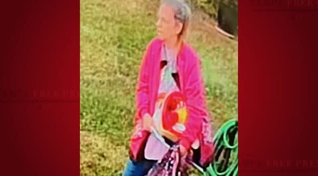 Hernando County deputies: Missing Brooksville woman with dementia ...