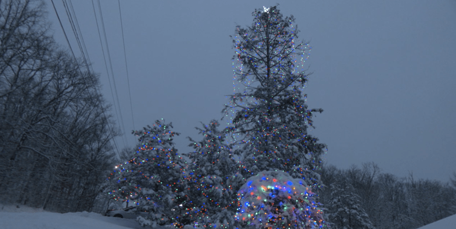 Largest Christmas tree in Greater Binghamton spreads holiday magic