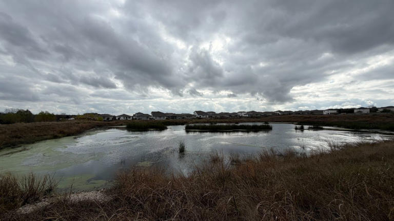 200,000-gallon sewer overflow kills fish in Pflugerville creek