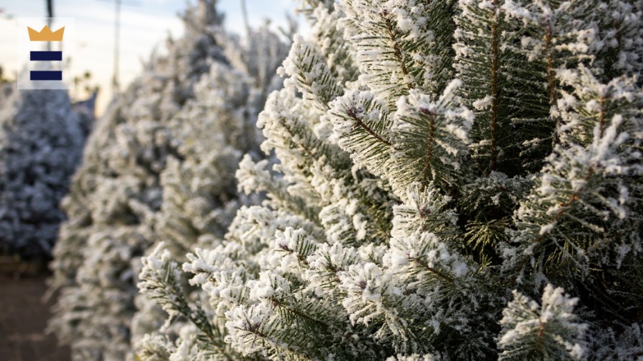Has Alabama ever had a white Christmas?