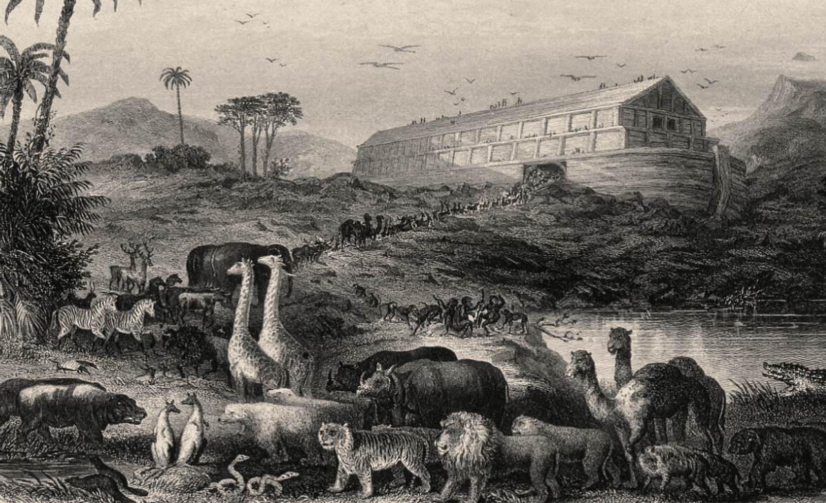 All animals, plants, and fungi on Earth can be traced back to a common ...