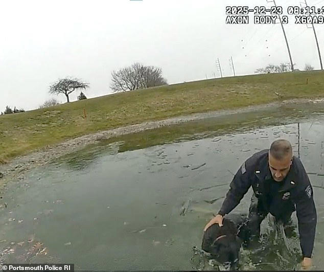 Cop braves freezing water to save howling dog who slipped through icy ...