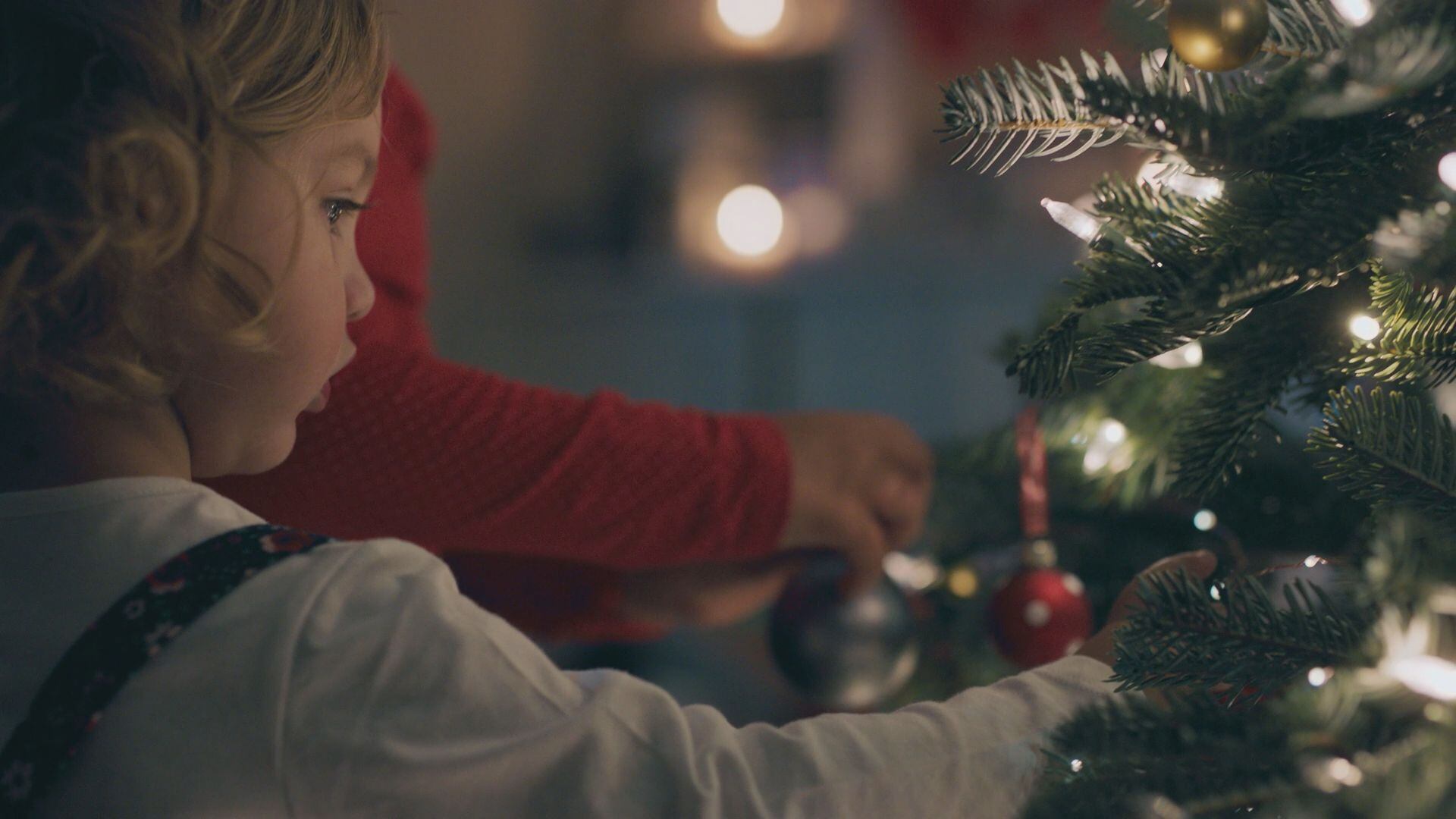 Christmas tree safety this holiday season