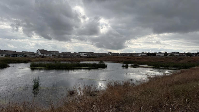 200,000-gallon sewer overflow kills fish in Pflugerville creek