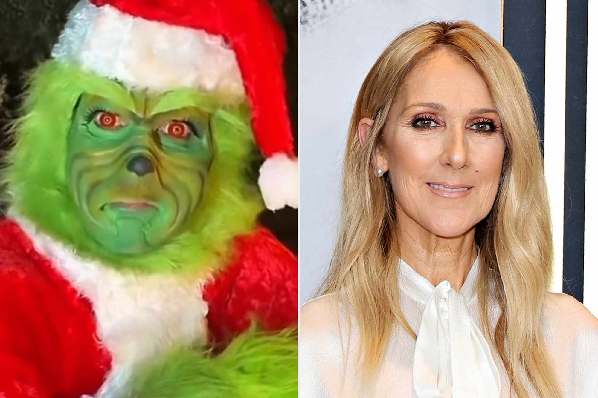 Celine Dion dresses as the Grinch, reenacts iconic movie scene in ...