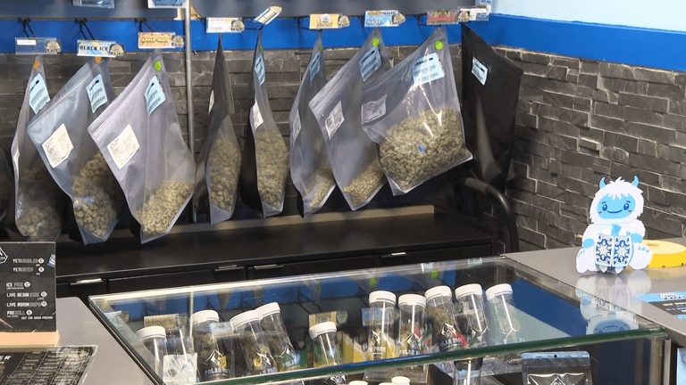 Michigan marijuana industry appeals decision allowing wholesale tax to ...