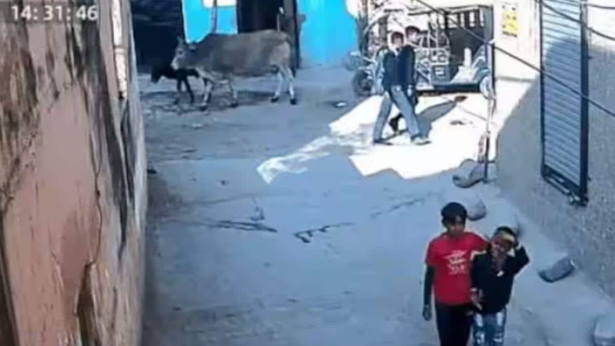 Chandigarh: Two minors missing after playing outside house, family says ...