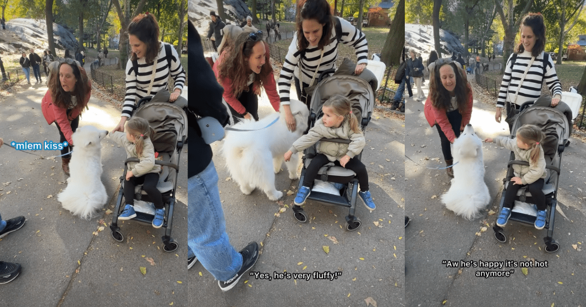 Video shows how a big, fluffy dog makes little girl's day