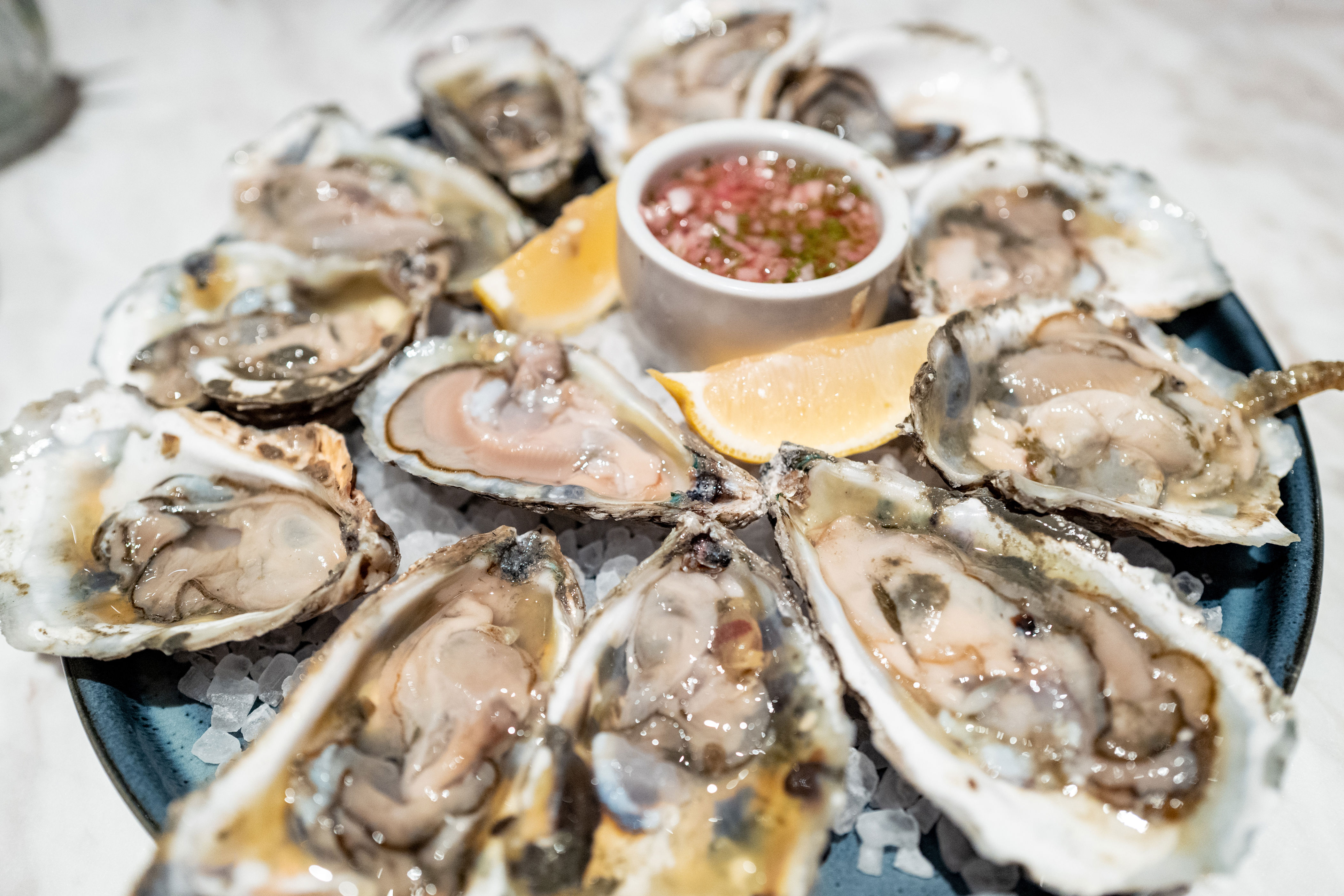 Ostras crudas relacionadas con brote de salmonela en EEUU; más de 12 ...