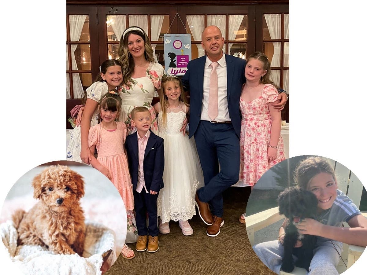 'They were family:' North Bellmore family mourns loss of dogs in house fire