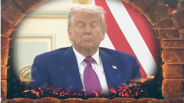 'The Daily Show' roasts Trump with Christmas yule log montage of ...