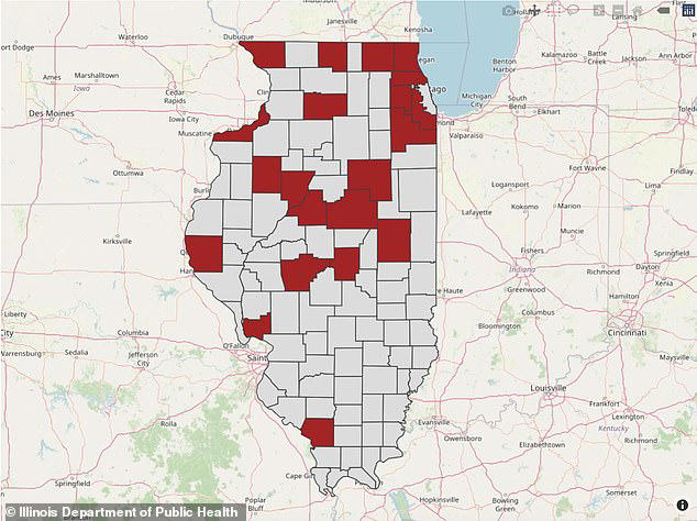 US state records first case of 100% deadly rabies for the first time in ...