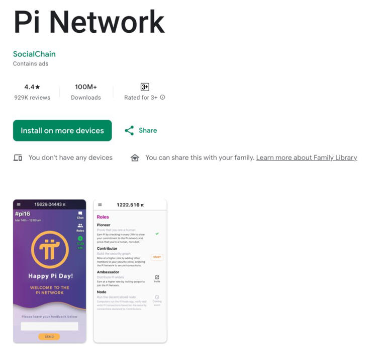 The rise and the tragic fall of Pi Network