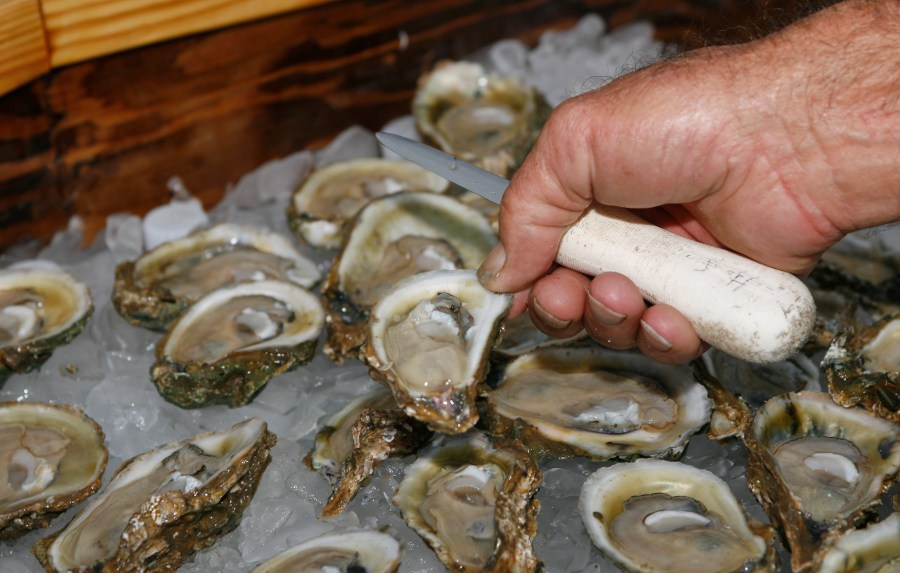 CDC warns of salmonella outbreak linked to raw oysters in 22 states