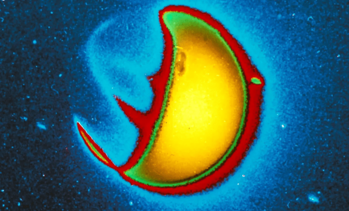 NASA’s new mission to map giant ‘halo’ surrounding Earth