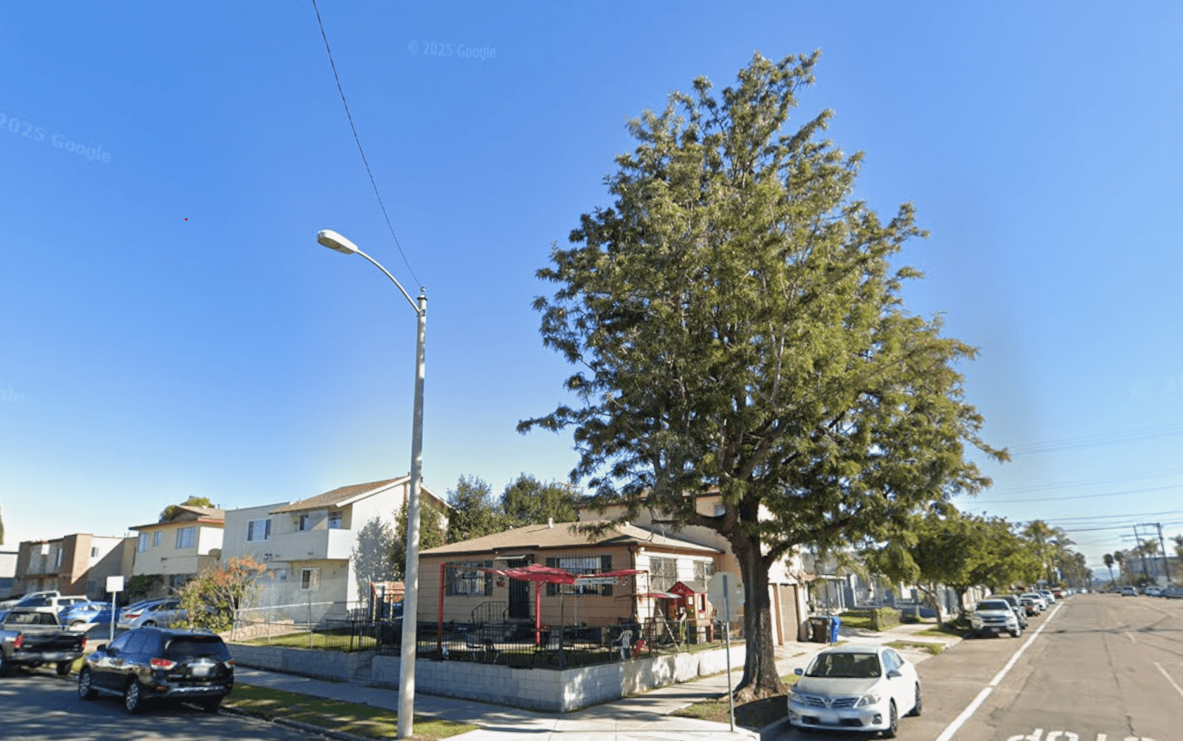 City Heights man killed by falling tree limb on Christmas Eve