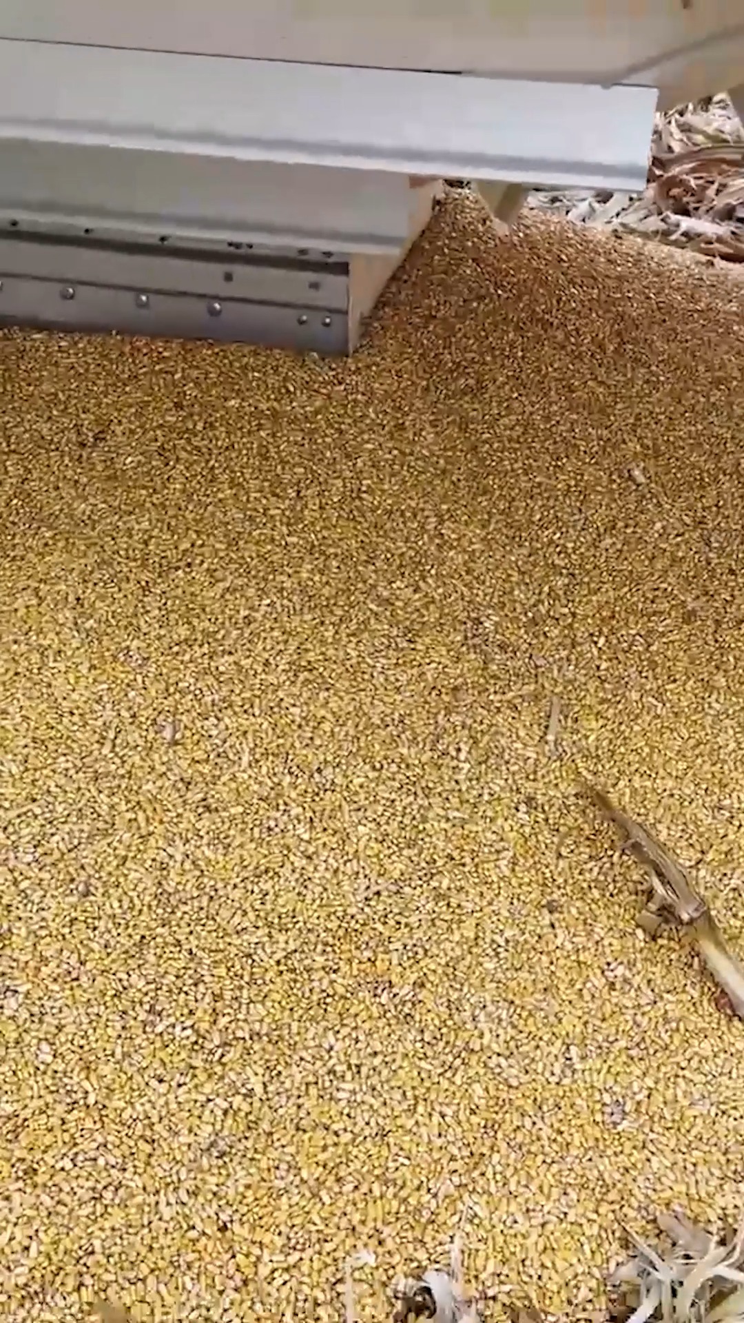 Learning from a mistake