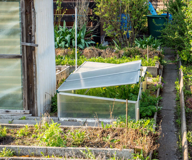 Now is the time to install a cold frame: 5 types to choose from