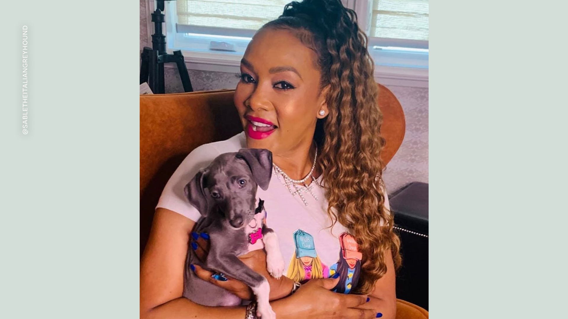 Vivica A Fox reveals her love for her friends' pets