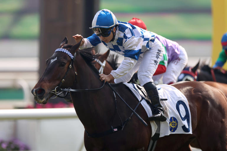 Newnham hopeful Bravehearts can reclaim top form at Sha Tin in Long Ke ...