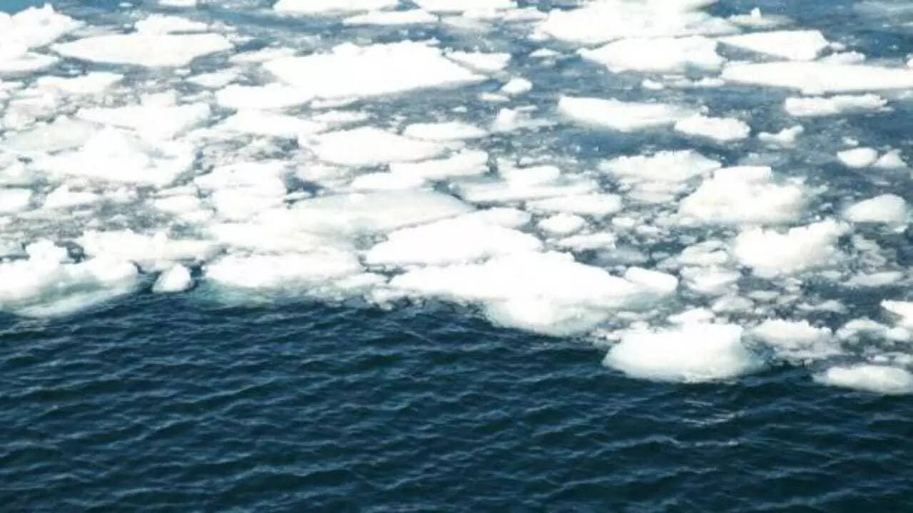 Curiosity corner: Why does ice float on water?