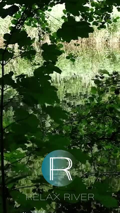 Serene river view with calming ambient music | Relax, meditate & unwind