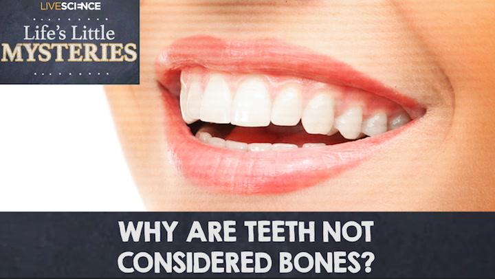 Why are teeth not considered bones?