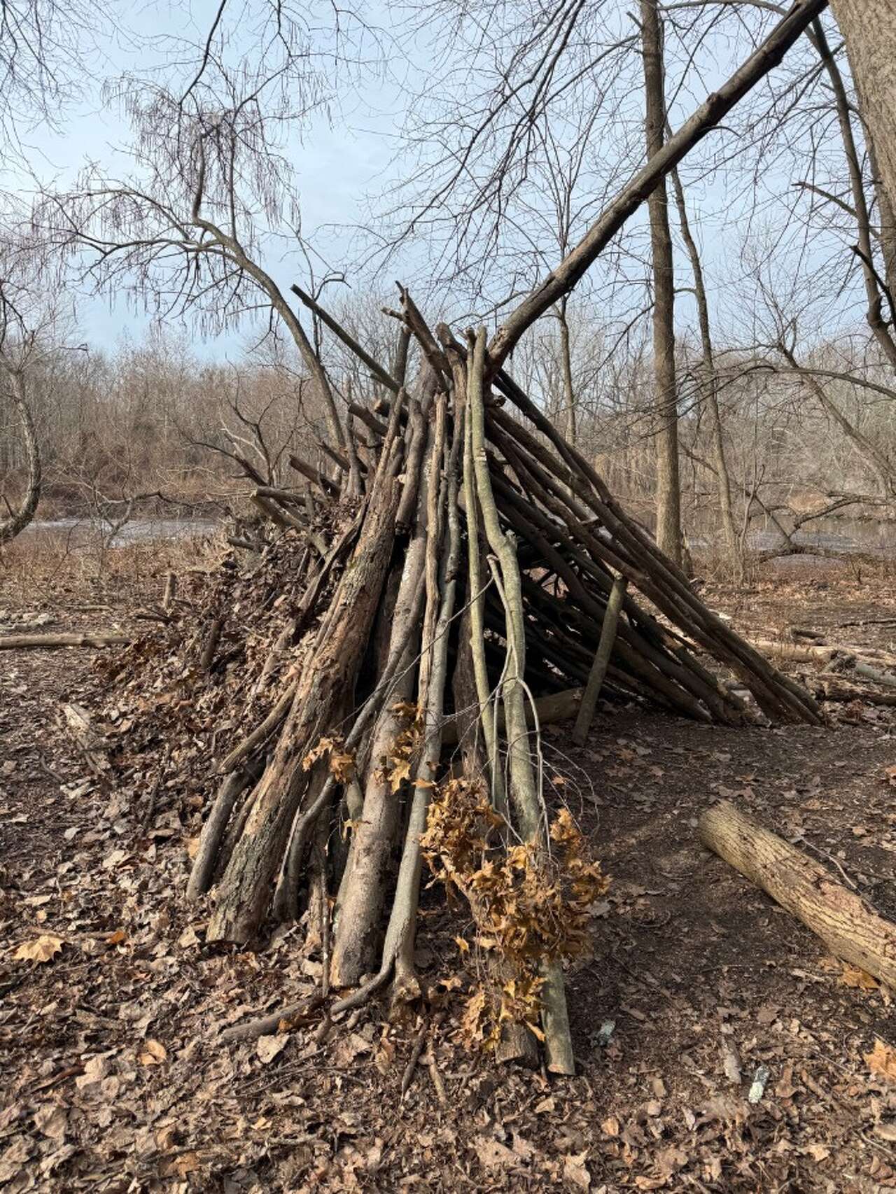 Darien Land Trust reports 'serious vandalism and environmental damage ...