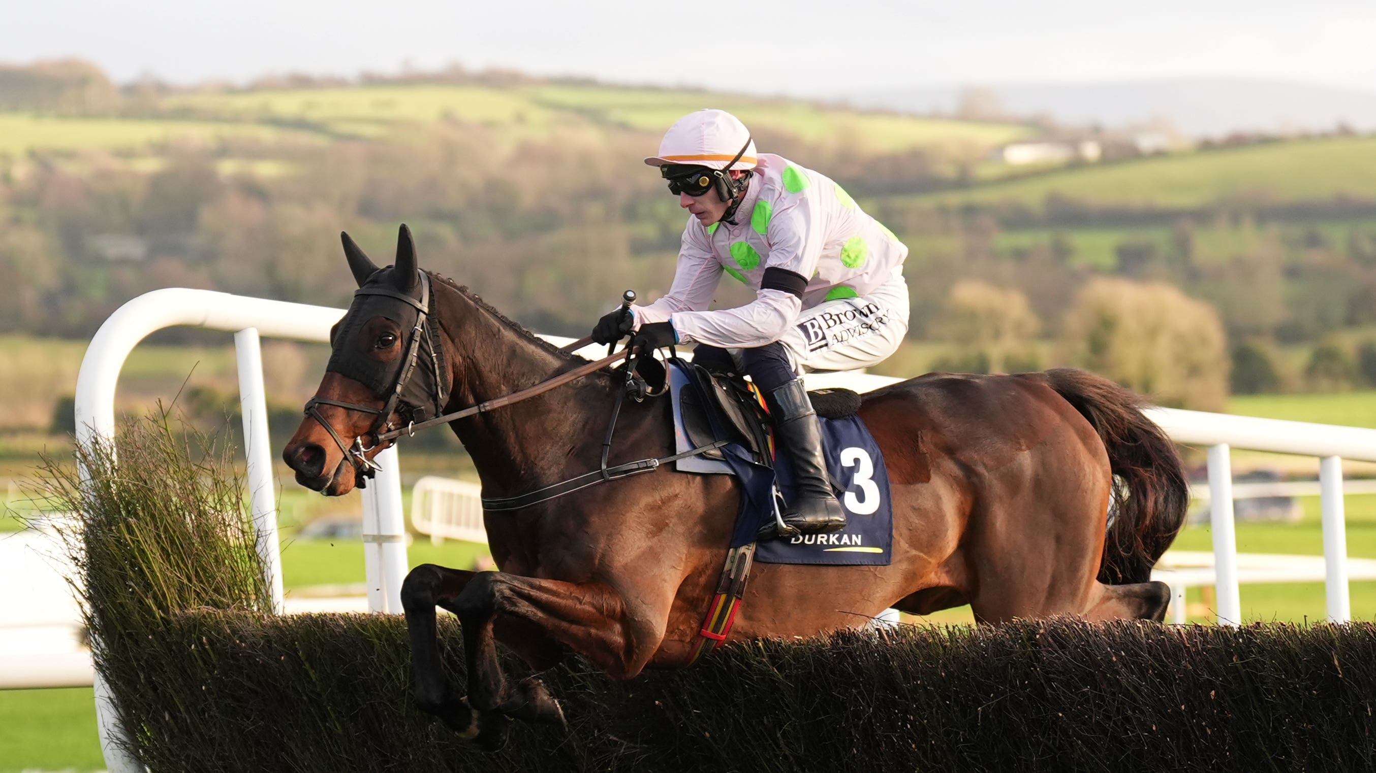 Gaelic Warrior and Fact To File battling to be Kempton firsts in ...