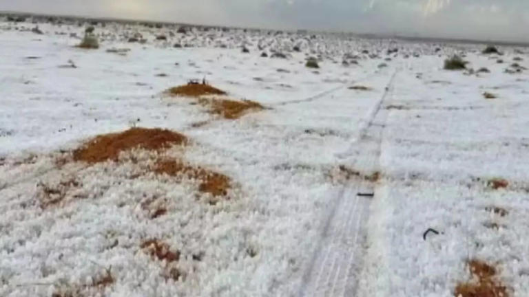 Rare desert snowfalls that shocked the world in the last five years ...