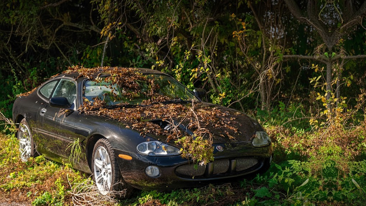 Why did we buy this cheap Jaguar?