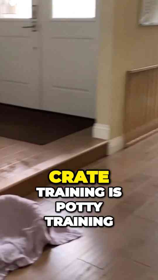 Puppy Training Essentials Crate Training Tips