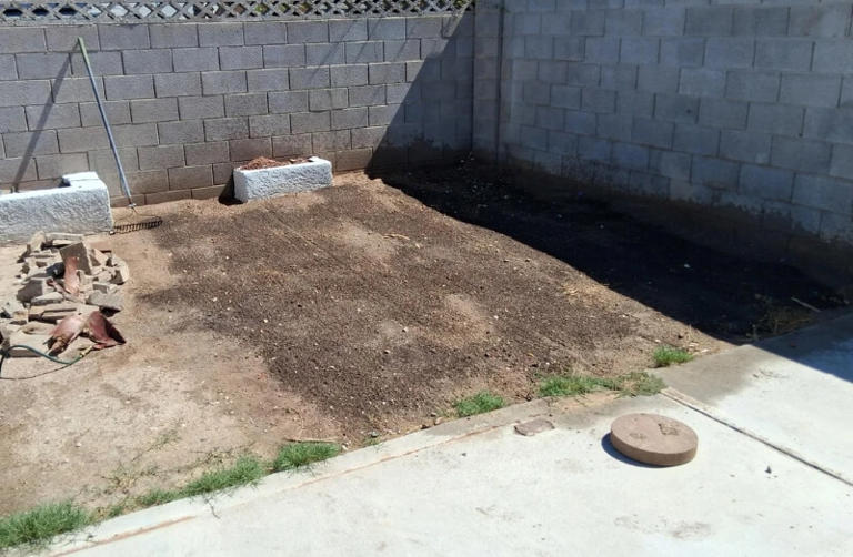 Gardener shares incredible before-and-after photos after planting new ...