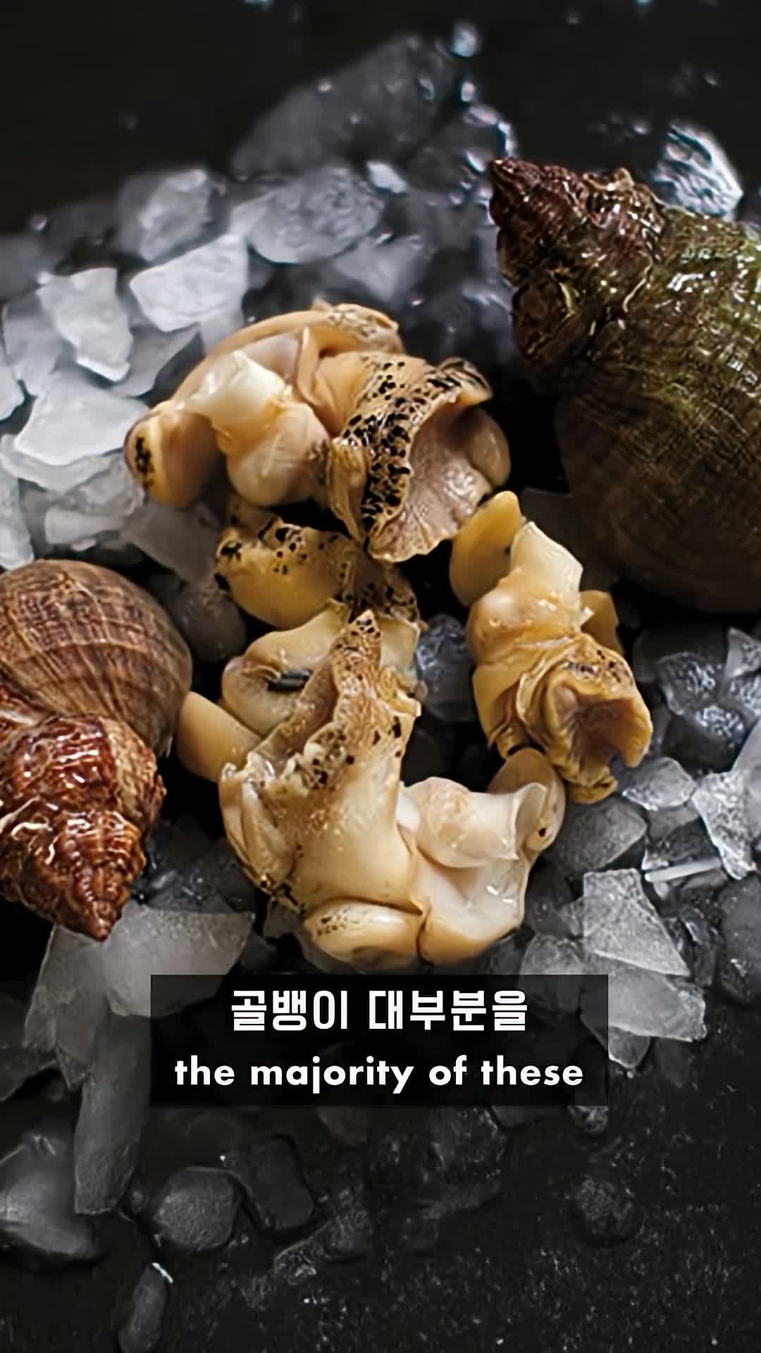 British chefs try Korean sea whelks!🐚