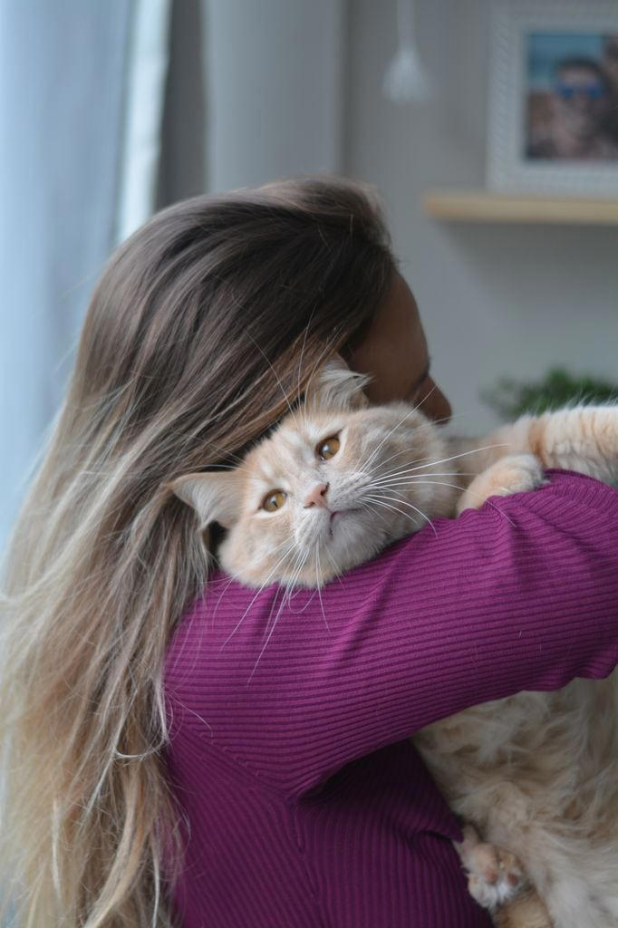 Científicos descubren cómo comunicarnos con nuestro gato (y es más ...