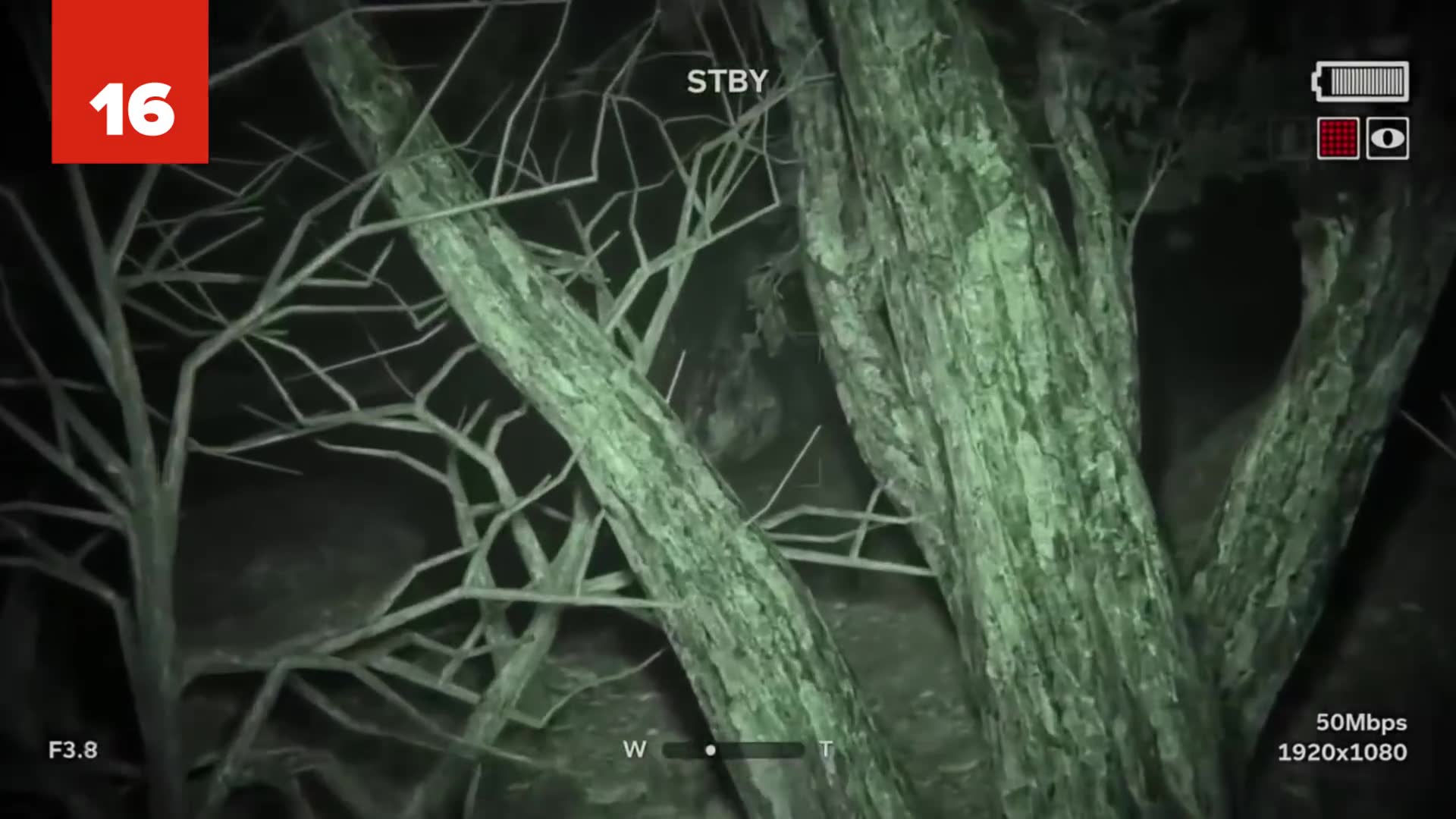 Must have video games for your Christmas wish list