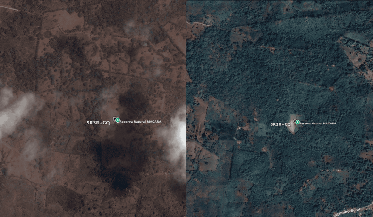 La marca de ropa paisa que financió reserva natural con sus ventas; ha ...